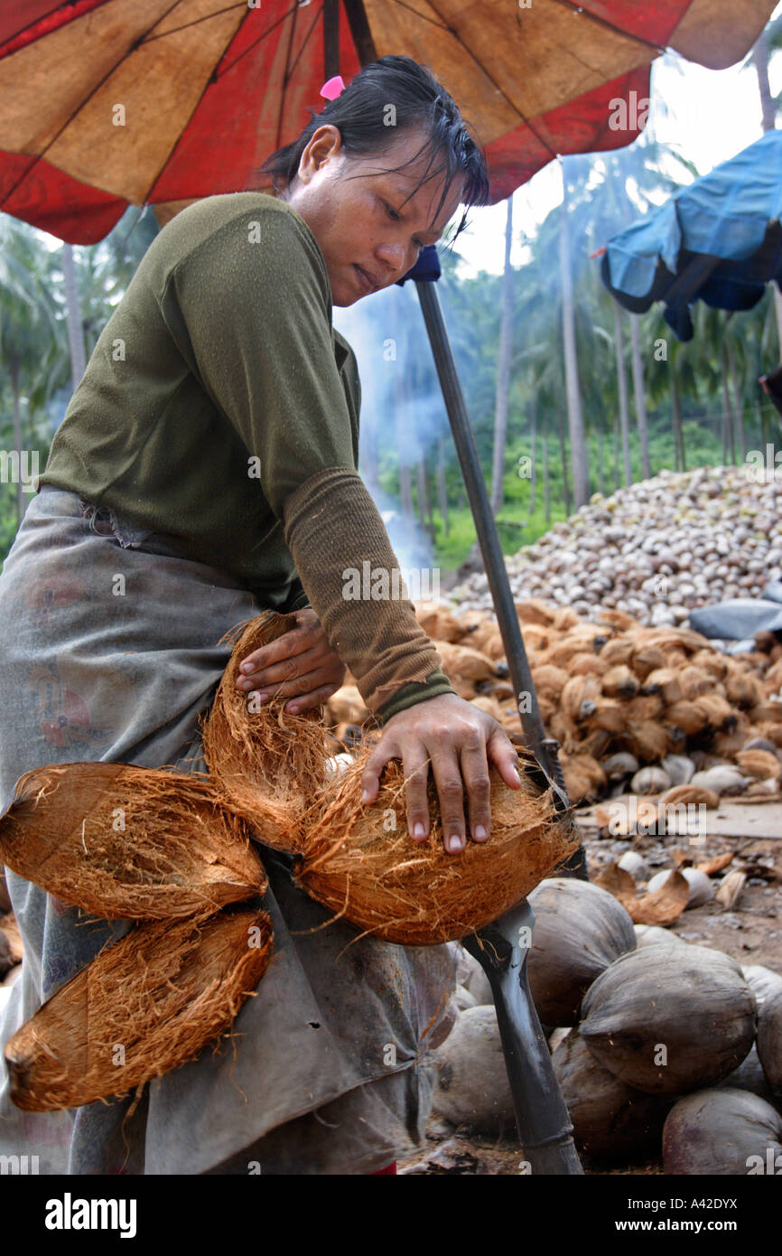 Woman dehusking coconuts, Ko Samui, Thailand Stock Photo - Alamy