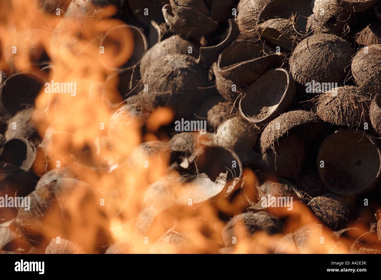 Coconut husk burning hi-res stock photography and images - Alamy