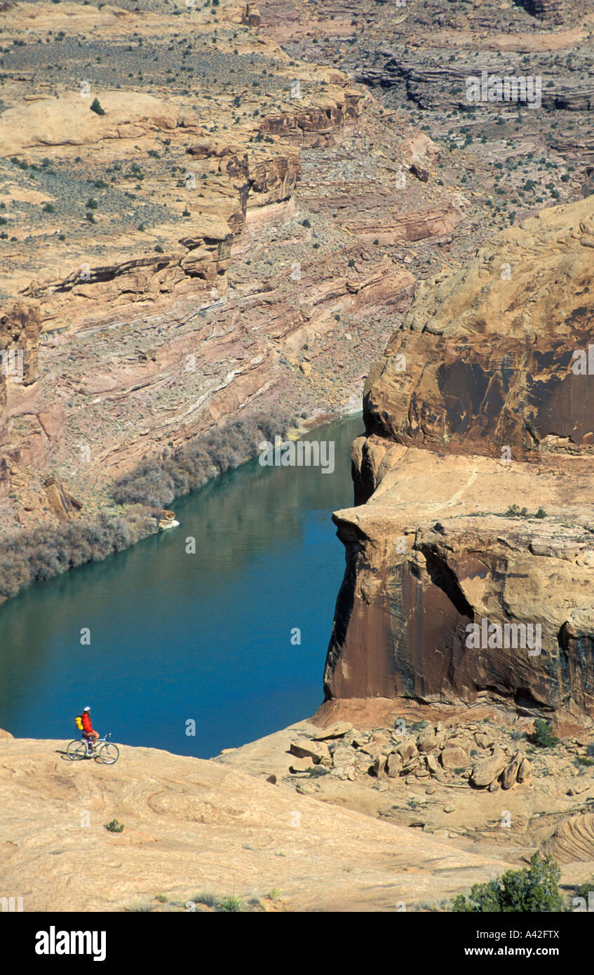 Mountain biking on the Slick Rock Trail Moab Utah USA Stock Photo - Alamy