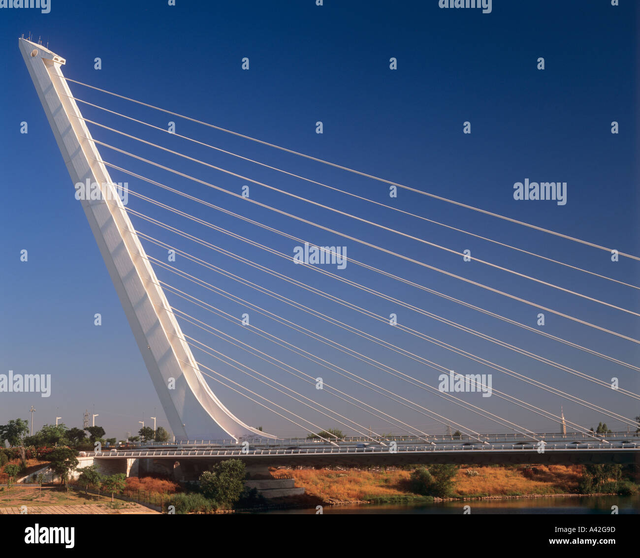 Alamillo bridge hi-res stock photography and images - Alamy