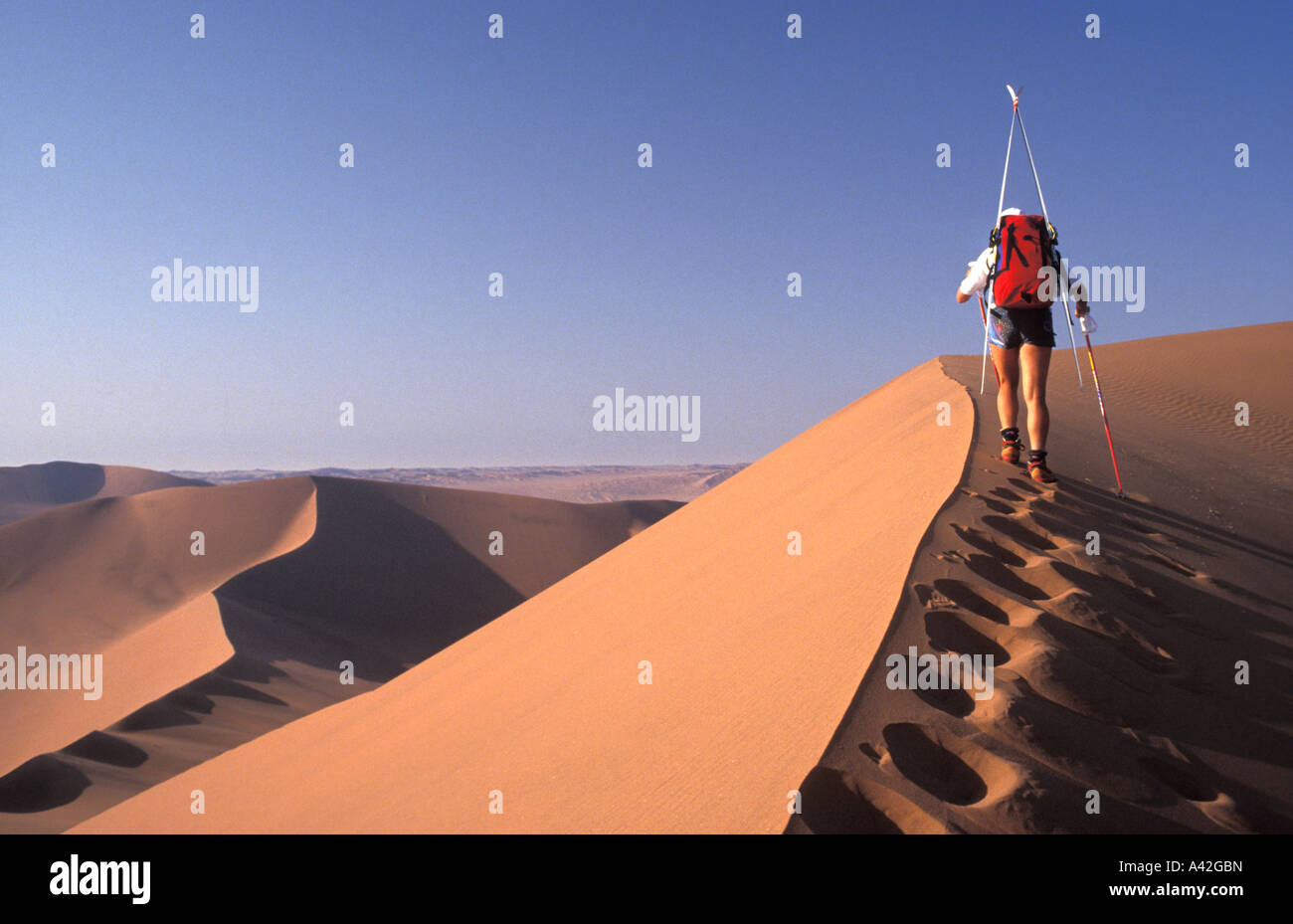 Telemark skier Vaila Macdonald ascending Deadpan Dune Namibia Africa ...