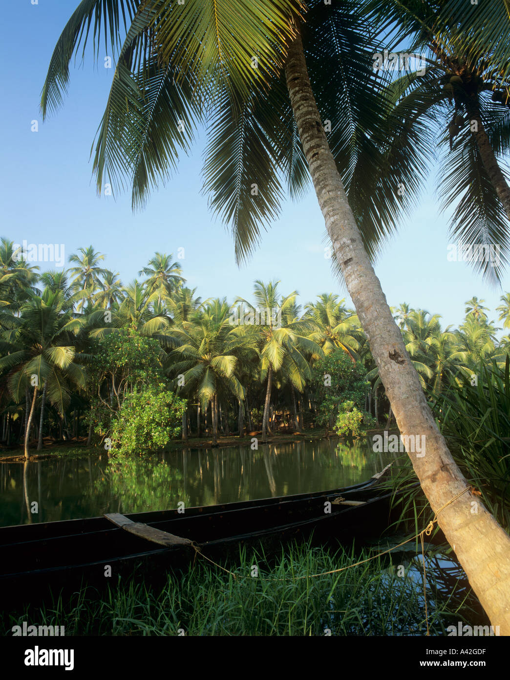 Kerala backwaters India Stock Photo - Alamy
