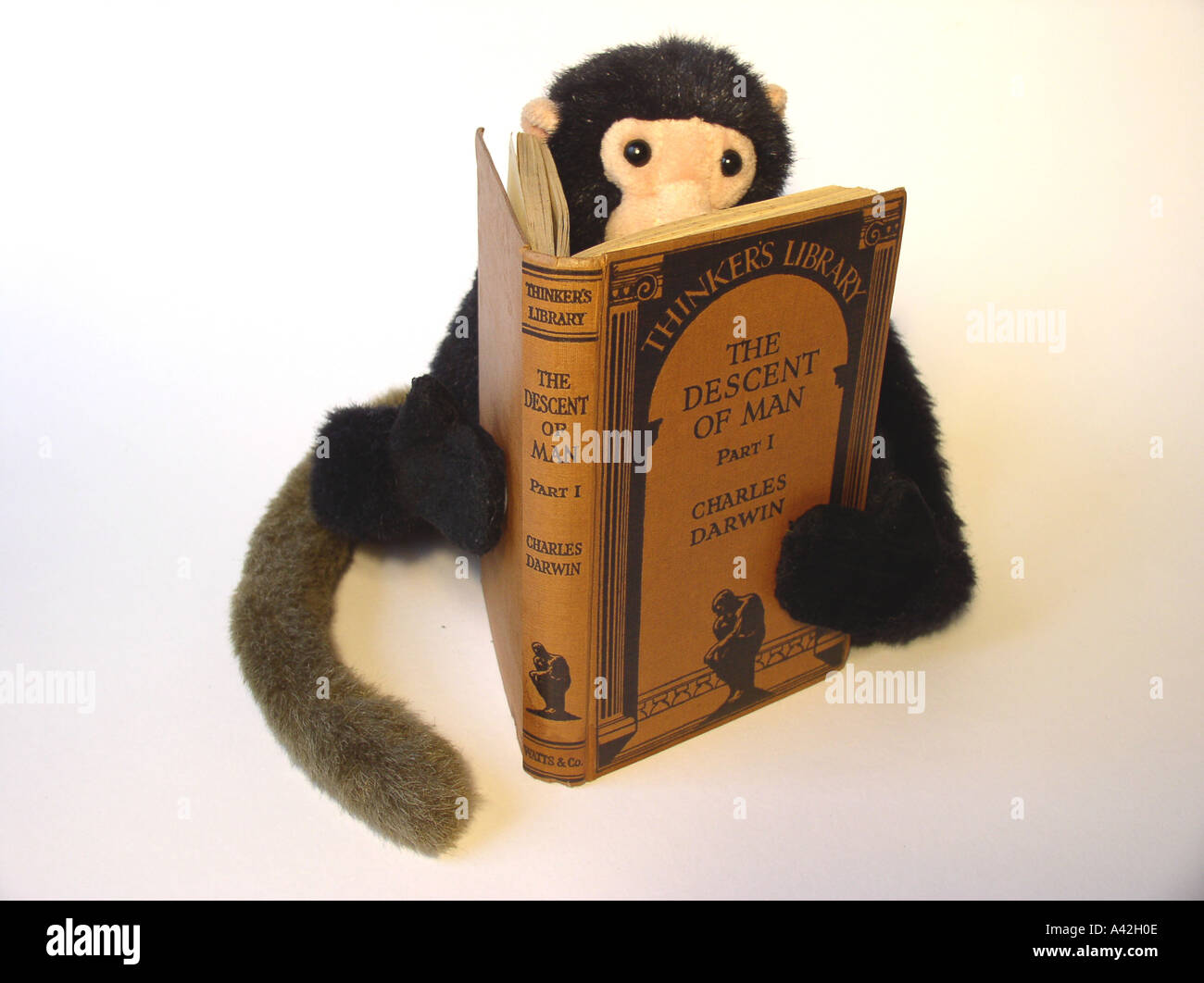 toy monkey reading The Descent of Man by Charles Darwin Thinkers ...