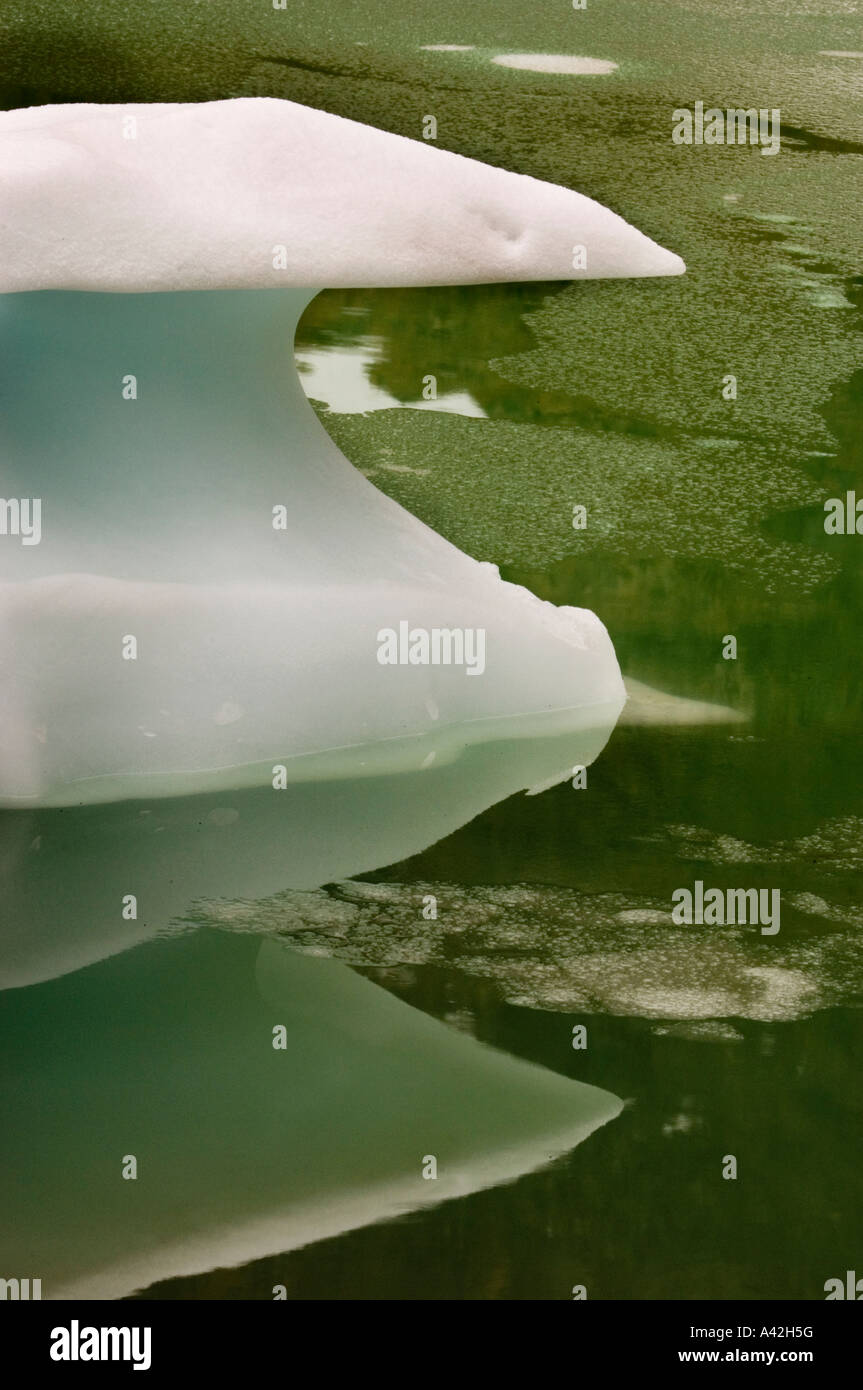 Mt Edith Cavell glacial pond with icebergs, Jasper National Park ...