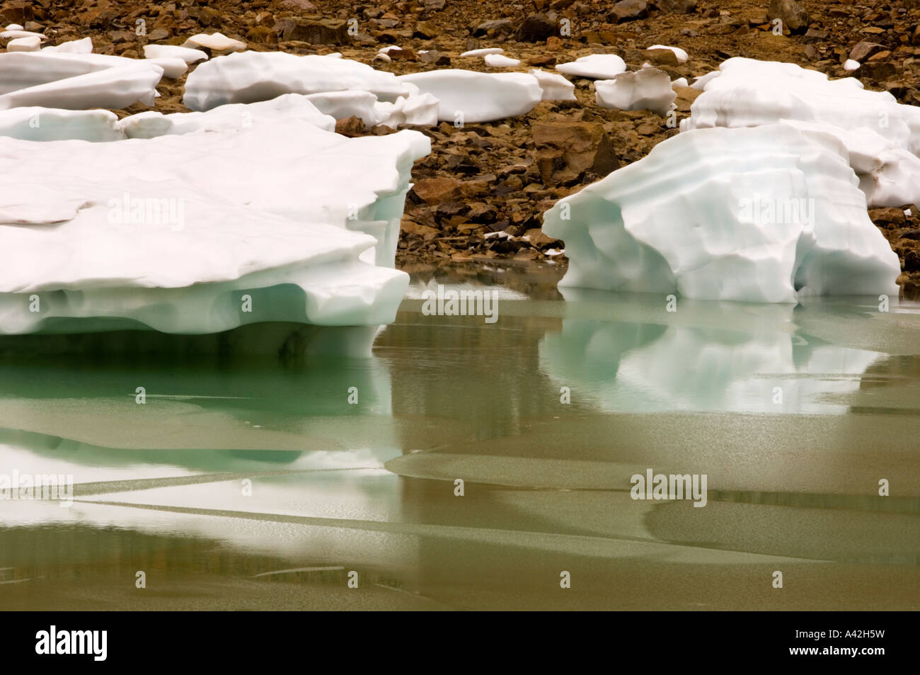 Mt edith cavell glacial pond hi-res stock photography and images - Alamy