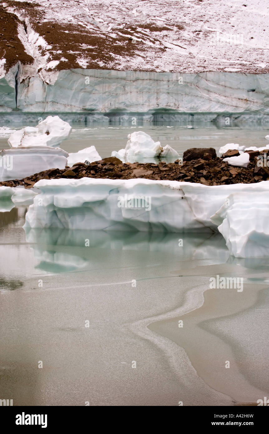 Mt Edith Cavell glacial pond with icebergs, Jasper National Park ...