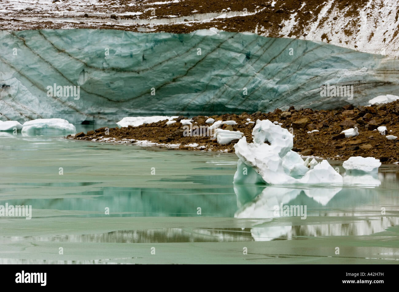 Mt Edith Cavell glacial pond with icebergs, Jasper National Park ...