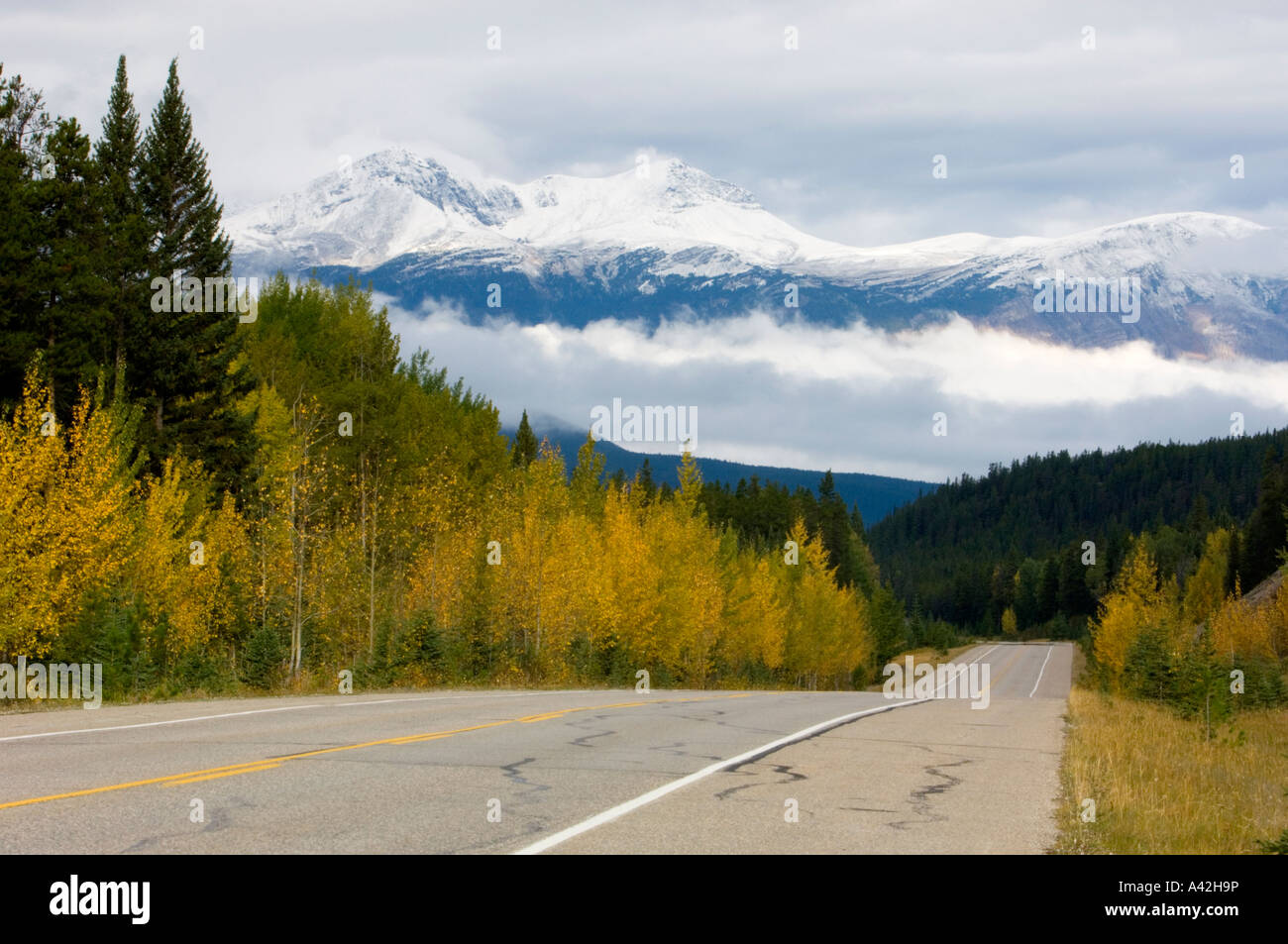 Fryatt Peaks High Resolution Stock Photography and Images - Alamy