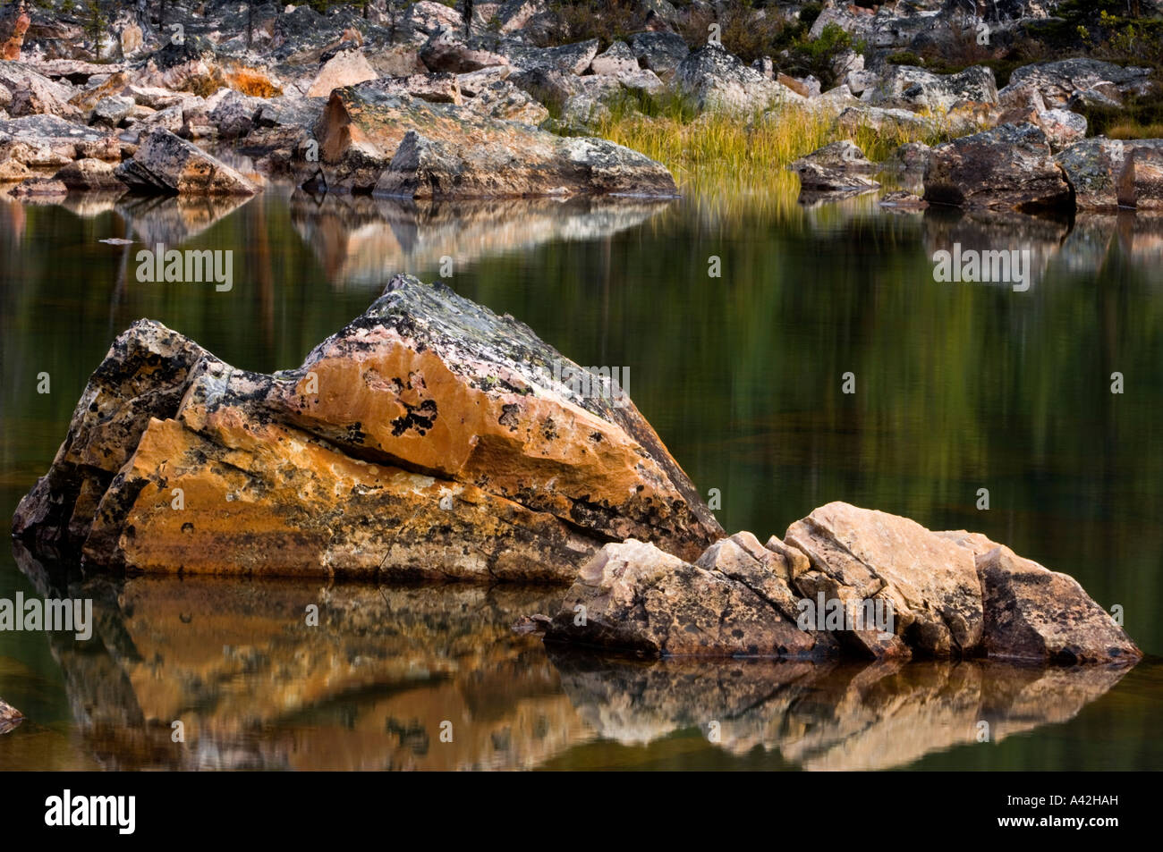 Quartzite boulders and reflections in small pond, Jasper National Park ...