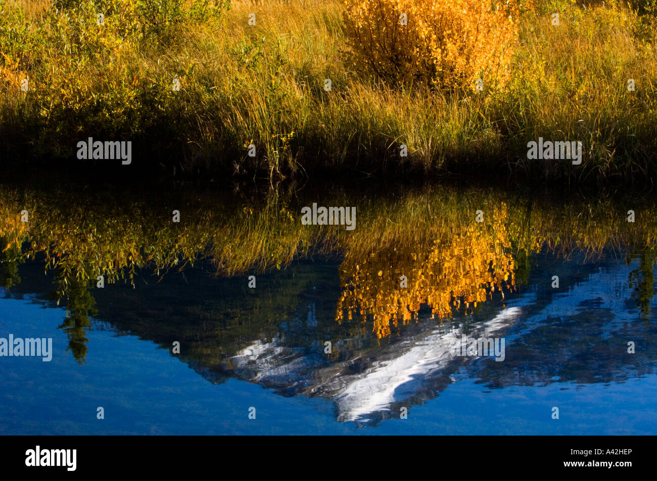 Mountain reflections in Vermilion Lakes wetlands, Banff National Park ...
