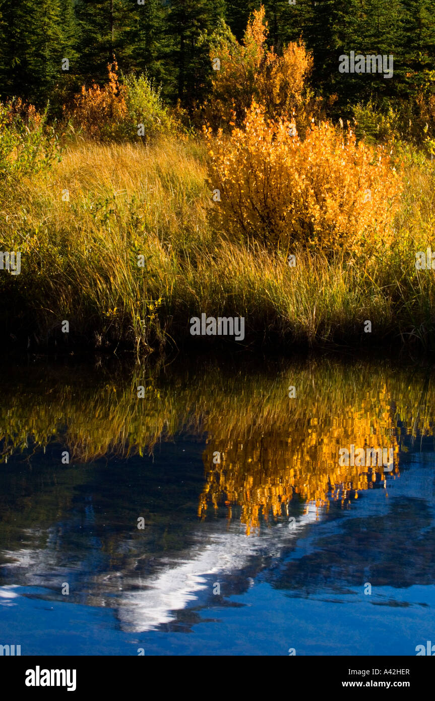 Mountain reflections in Vermilion Lakes wetlands, Banff National Park ...