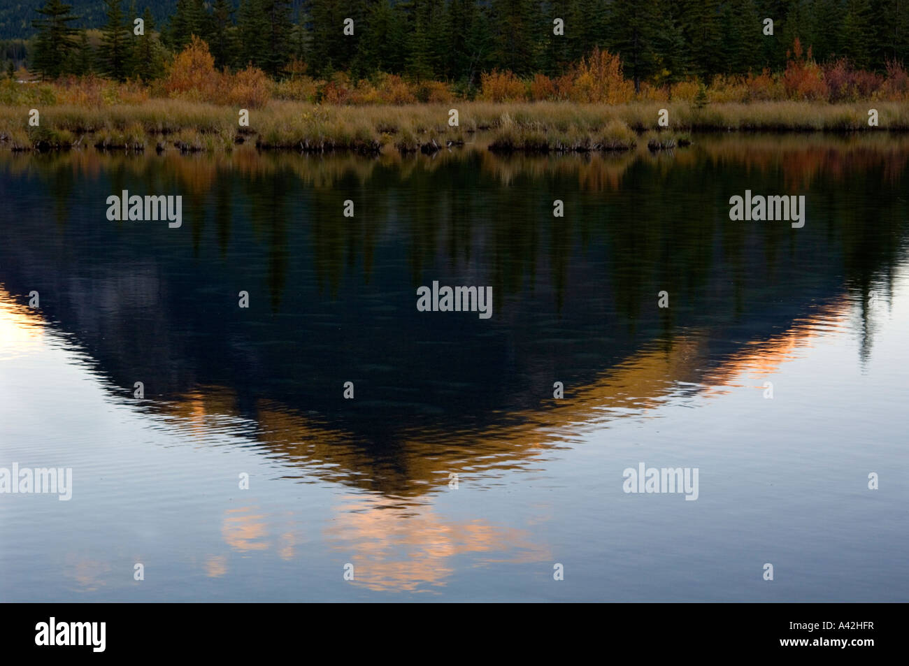 Sulphur Mountain and cloud reflections in Vermilion Lakes near sunset ...