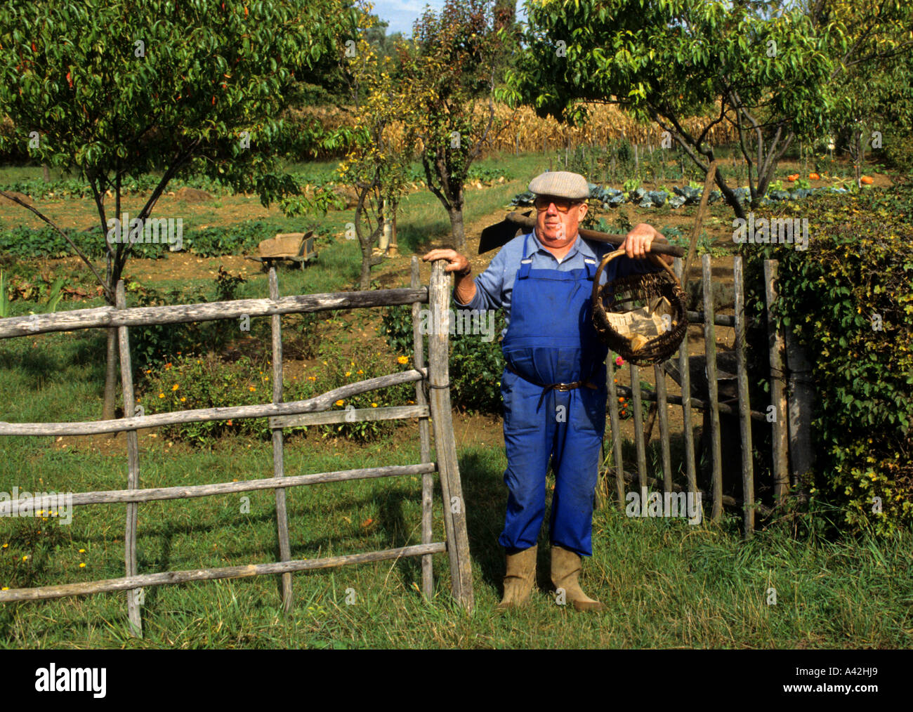 French hamper hi-res stock photography and images - Alamy
