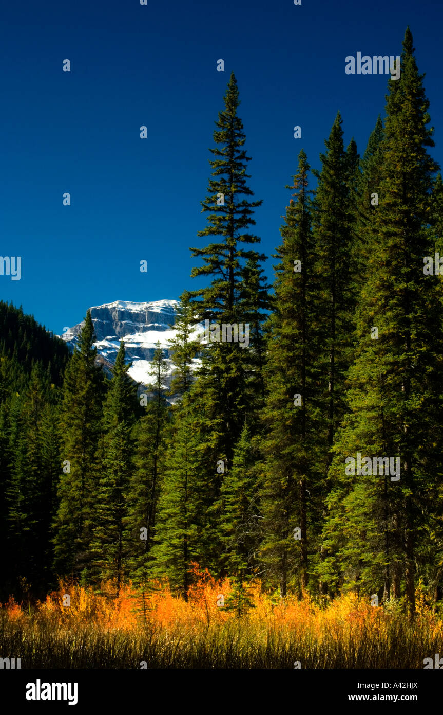 Cave and Basin marshes with Pilot Mountain, Banff National Park ...
