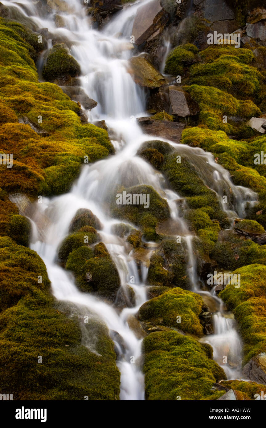 Mossy cascade, Banff National Park, Alberta, Canada Stock Photo - Alamy