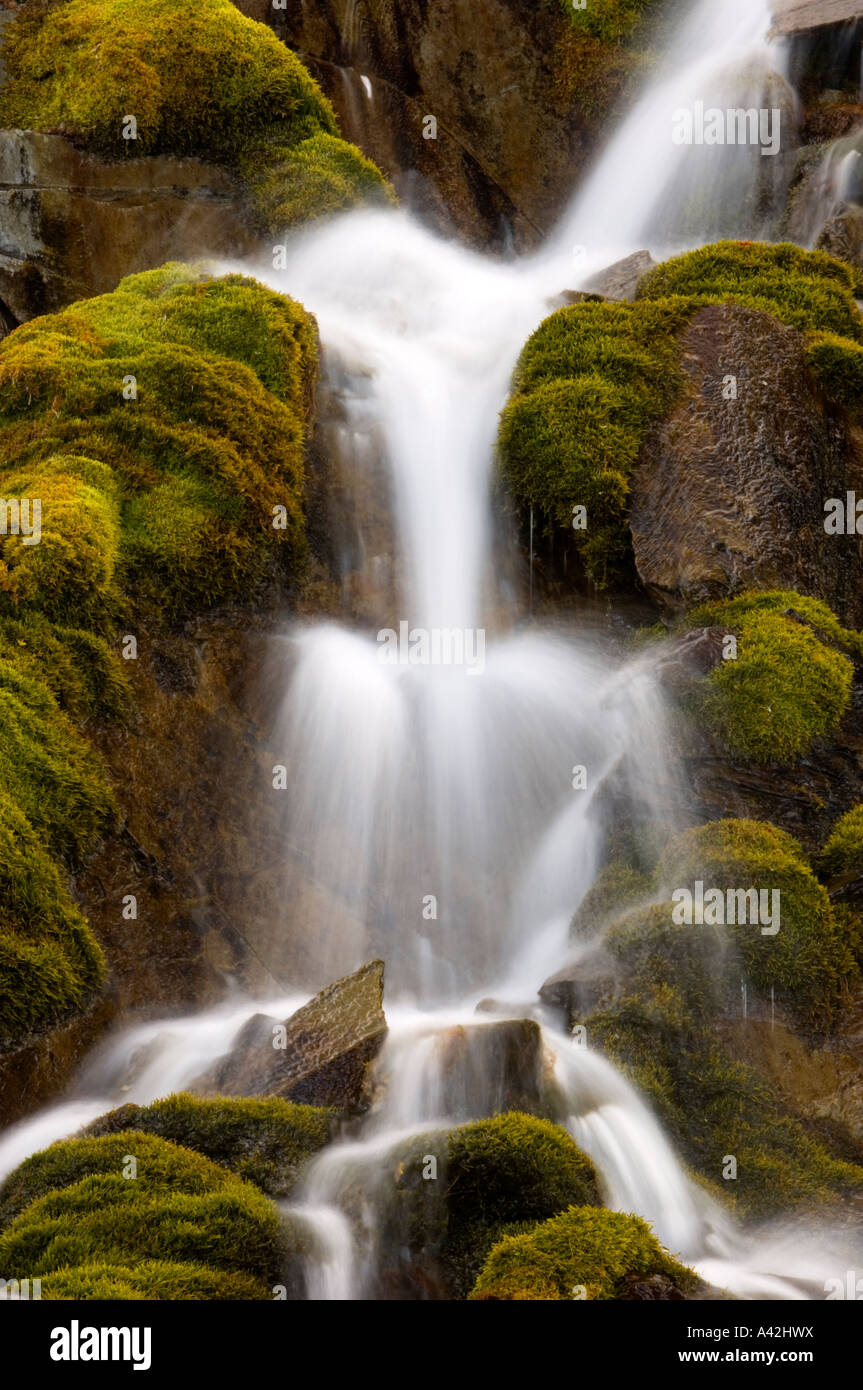 Mossy cascade, Banff National Park, Alberta, Canada Stock Photo - Alamy