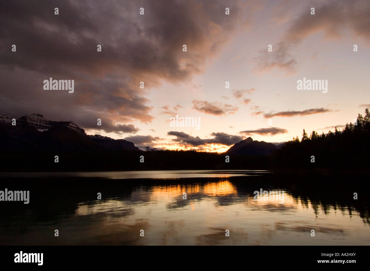 Herbert Lake at sunset, Banff National Park, Alberta, Canada Stock ...