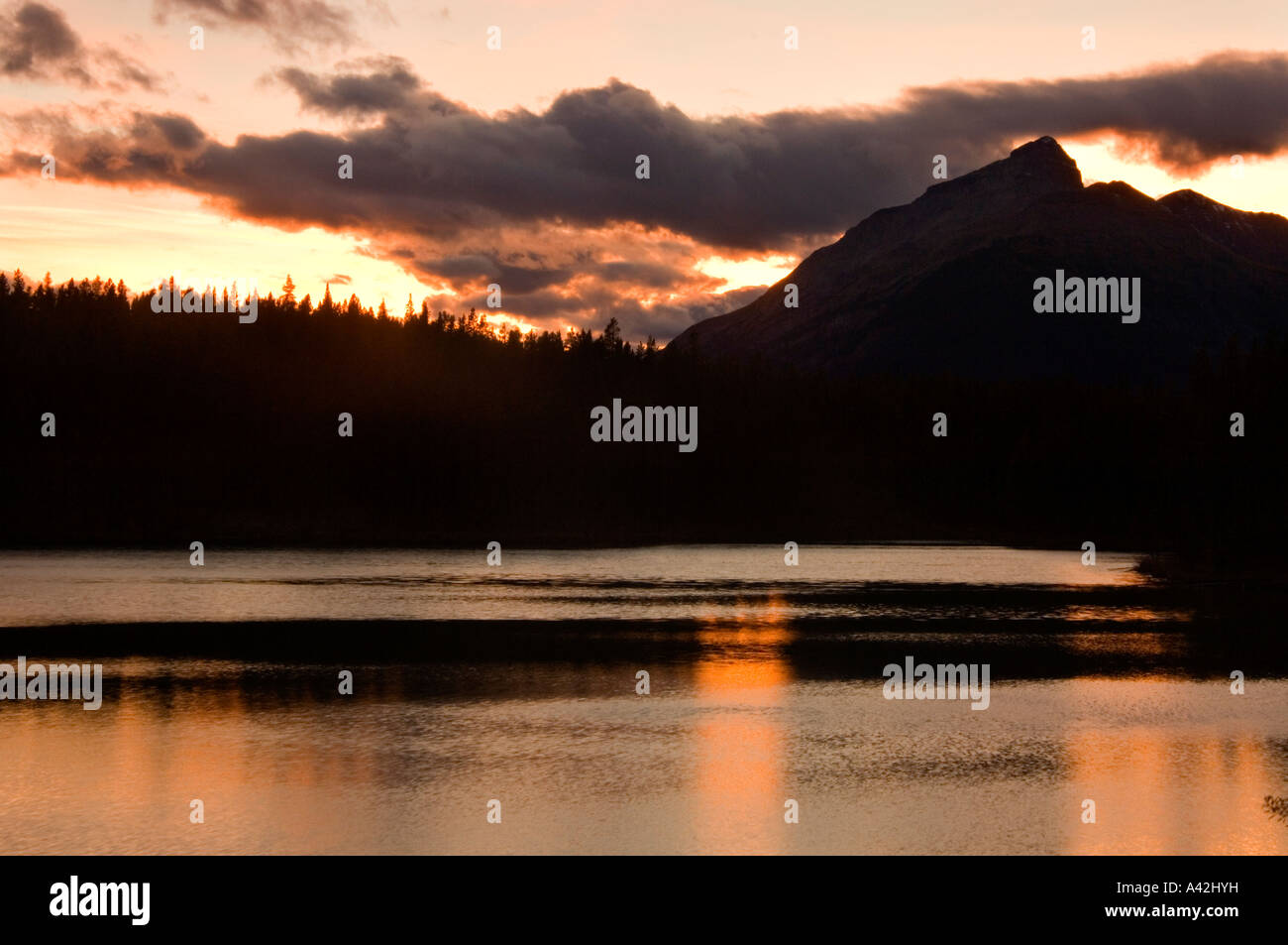 Herbert Lake at sunset, Banff National Park, Alberta, Canada Stock ...