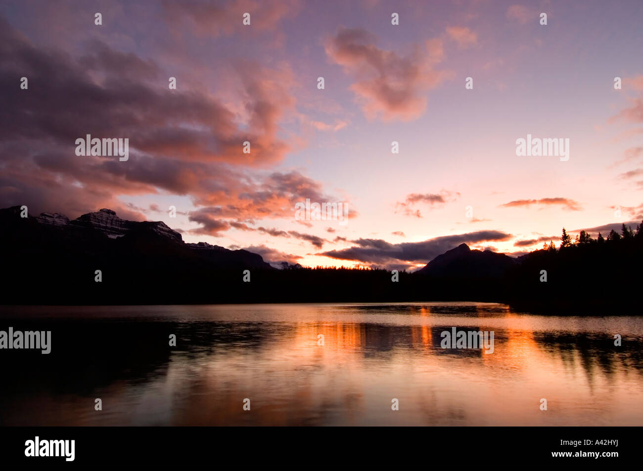Herbert Lake at sunset, Banff National Park, Alberta, Canada Stock ...