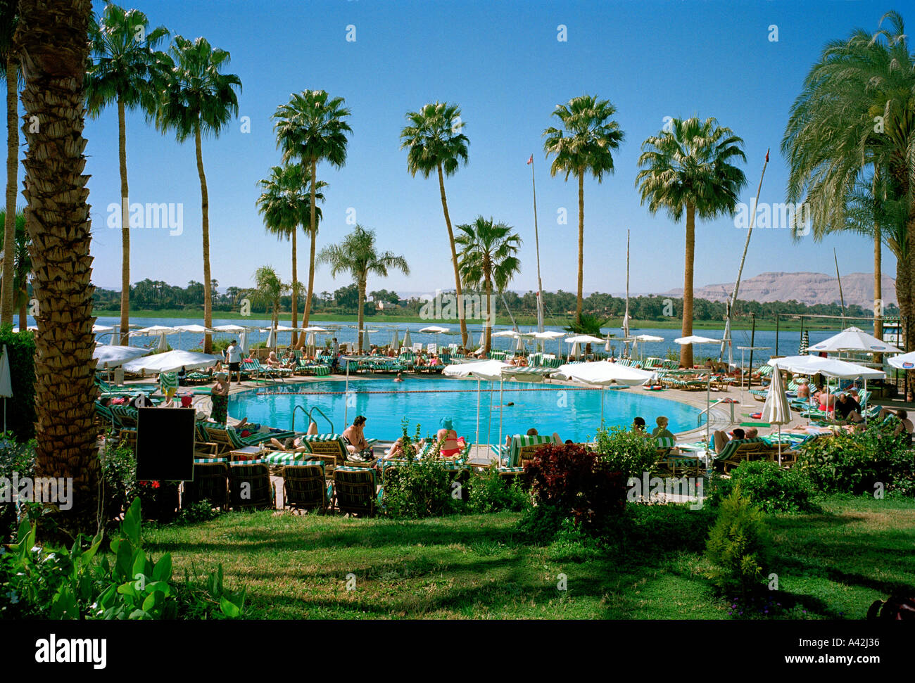 The swimming pool of a luxury hotel on the banks of the Nile at Luxor ...