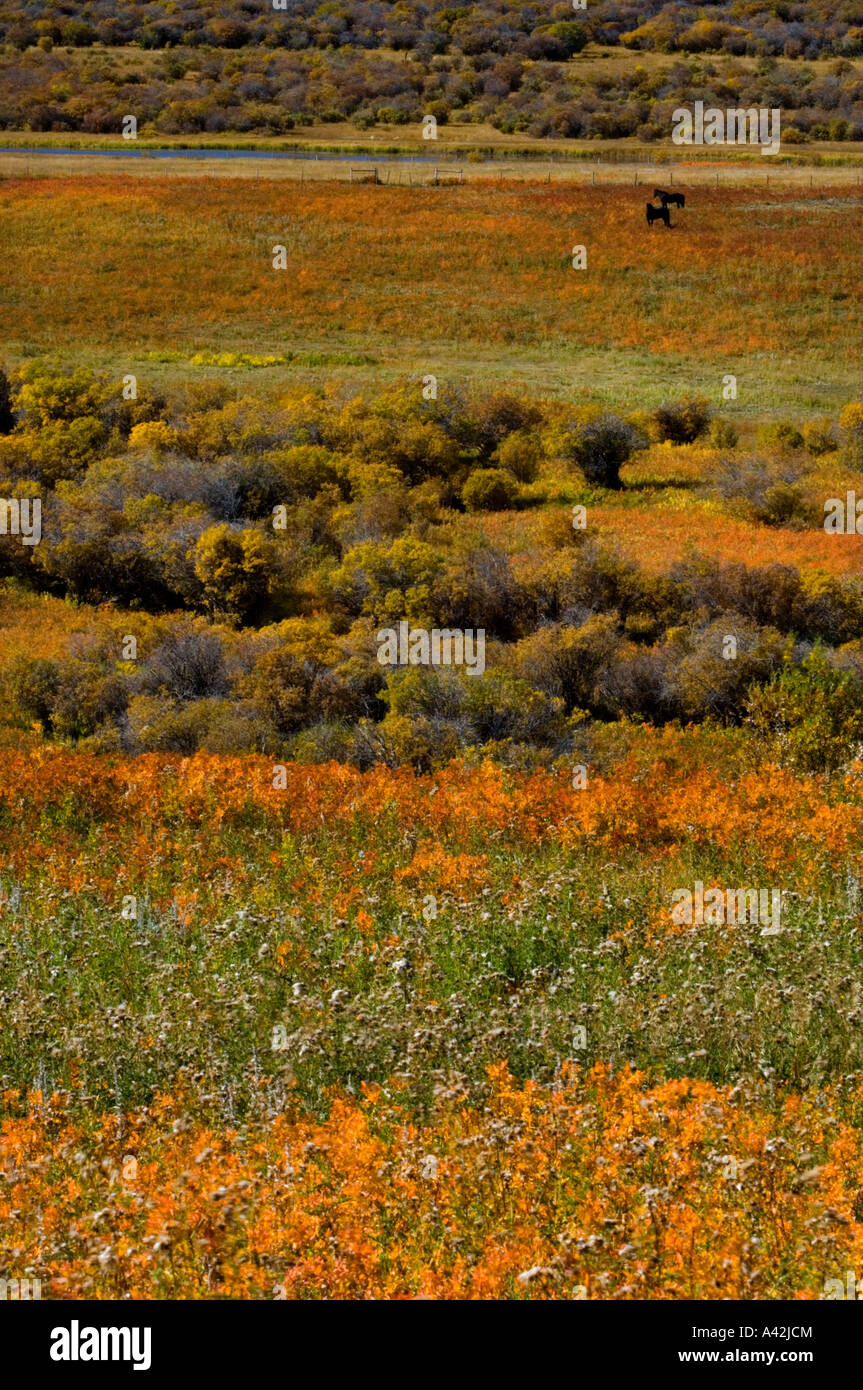 Fall colours and rangeland hi-res stock photography and images - Alamy