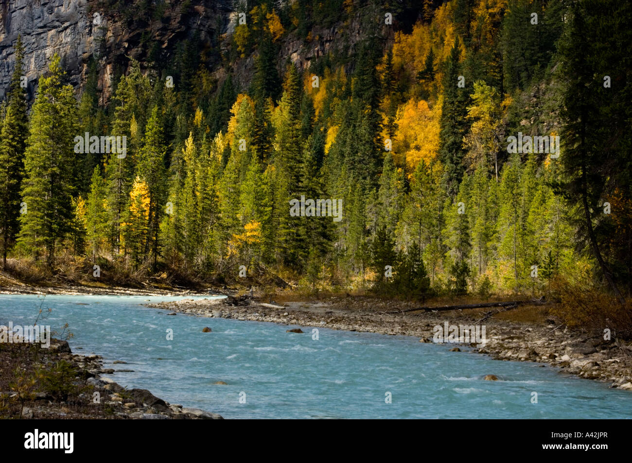 Yoho valley road hi-res stock photography and images - Alamy