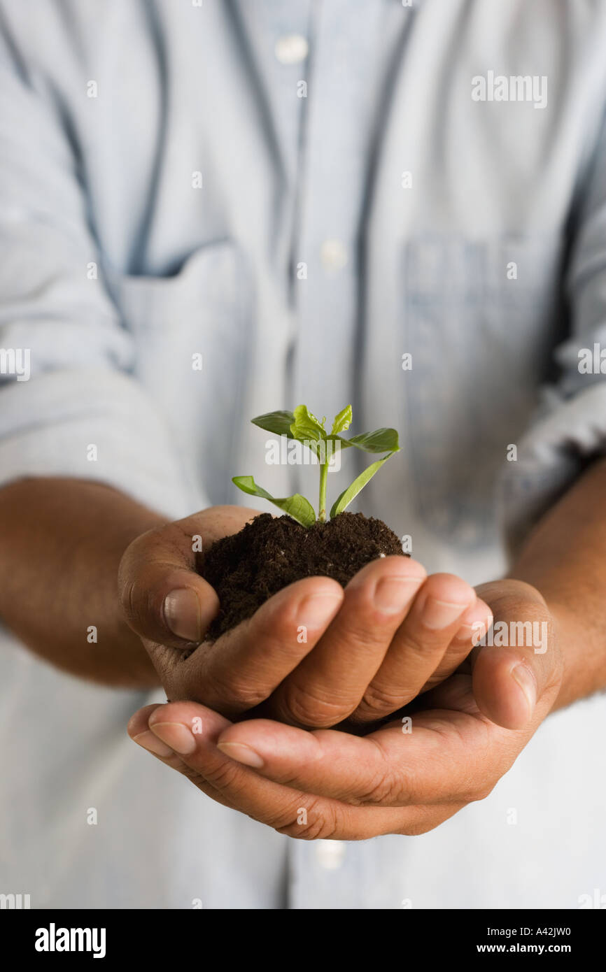 Close up of hands holding mound of dirt and plant Stock Photo - Alamy