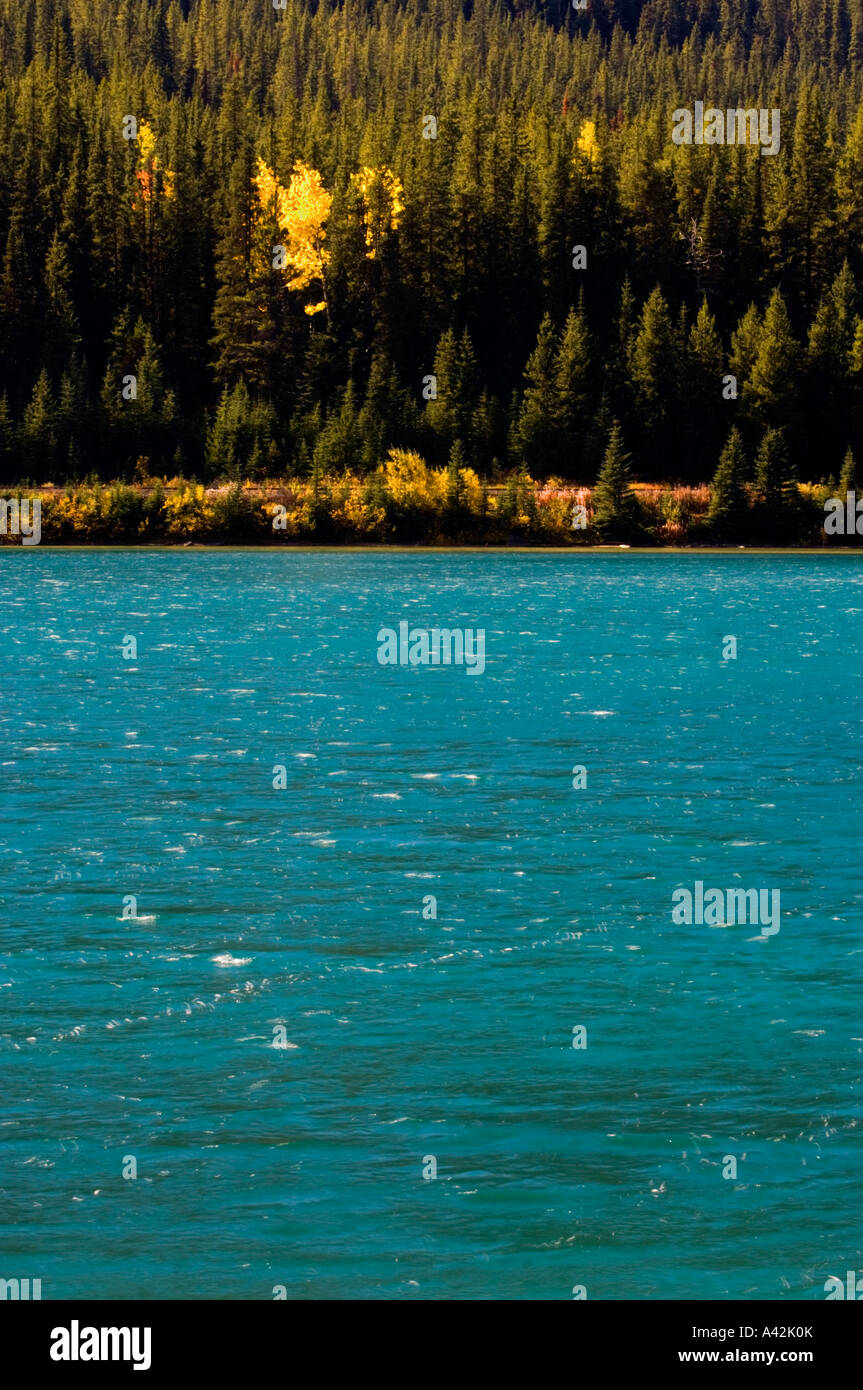 Windy Wapta Lake, Yoho National Park, British Columbia, Canada Stock ...