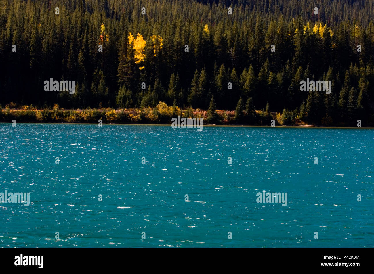 Windy Wapta Lake, Yoho National Park, British Columbia, Canada Stock ...