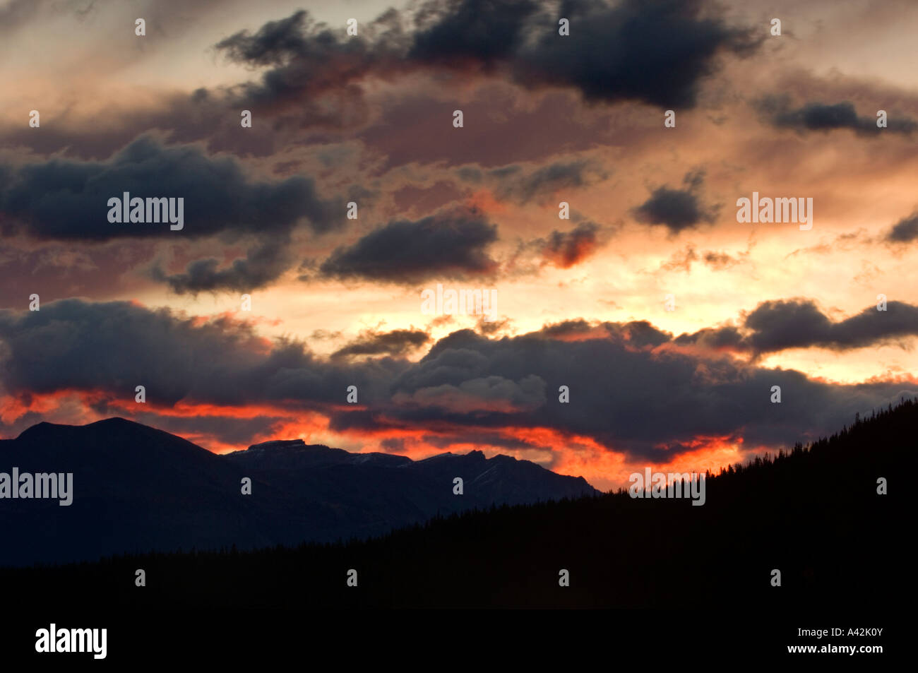 Sunrise colour on clouds over Continental Divide and Wapta Lake, Yoho ...