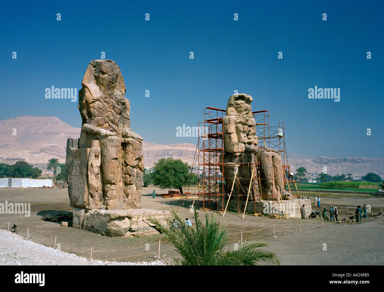 The colossi of Memnon on the West Bank of the Nile at Luxor Egypt ...