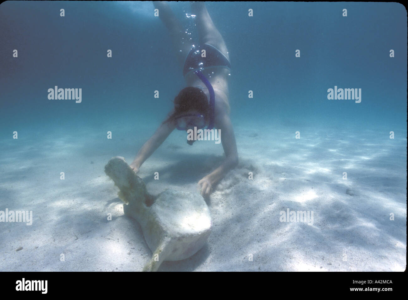 Woman MR researcher and snorkeler recovering a Humpback whale skeleton ...