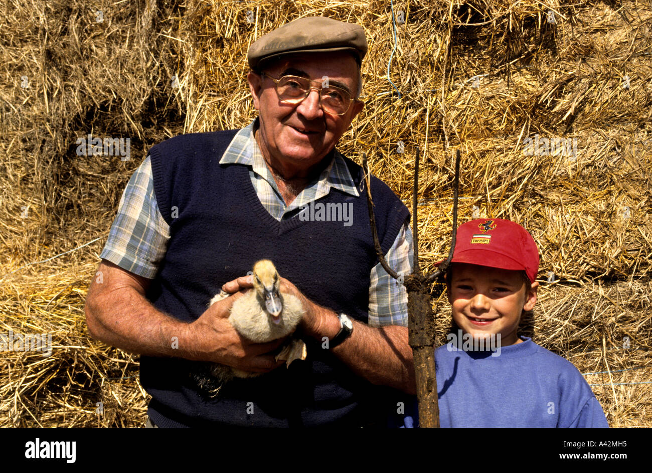 Duck house farm hi-res stock photography and images - Alamy
