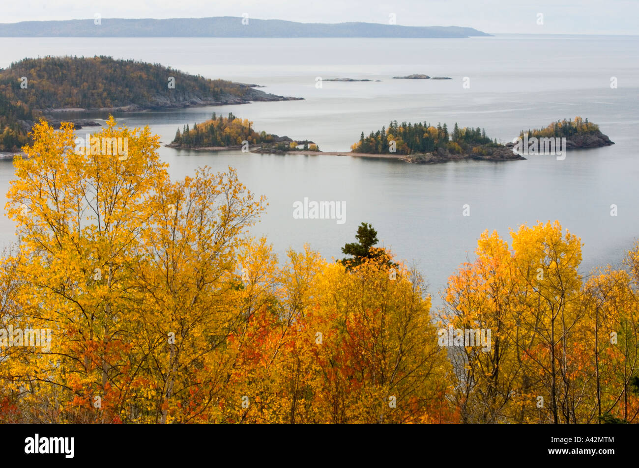 Autumn aspens and Lake Superior islands, Marathon, Ontario, Canada ...