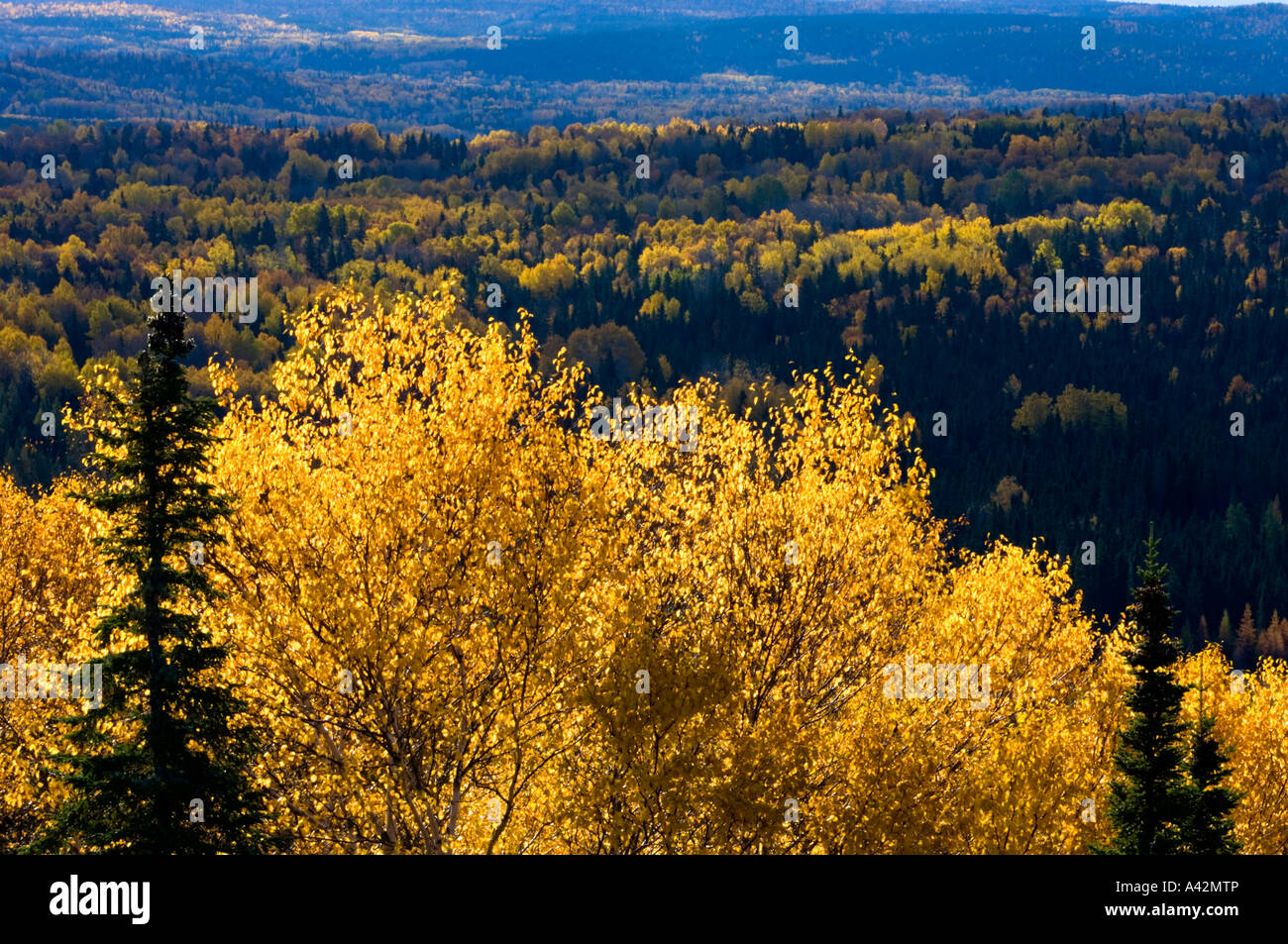 Beautiful autumn landscape overlooking lakes hi-res stock photography ...