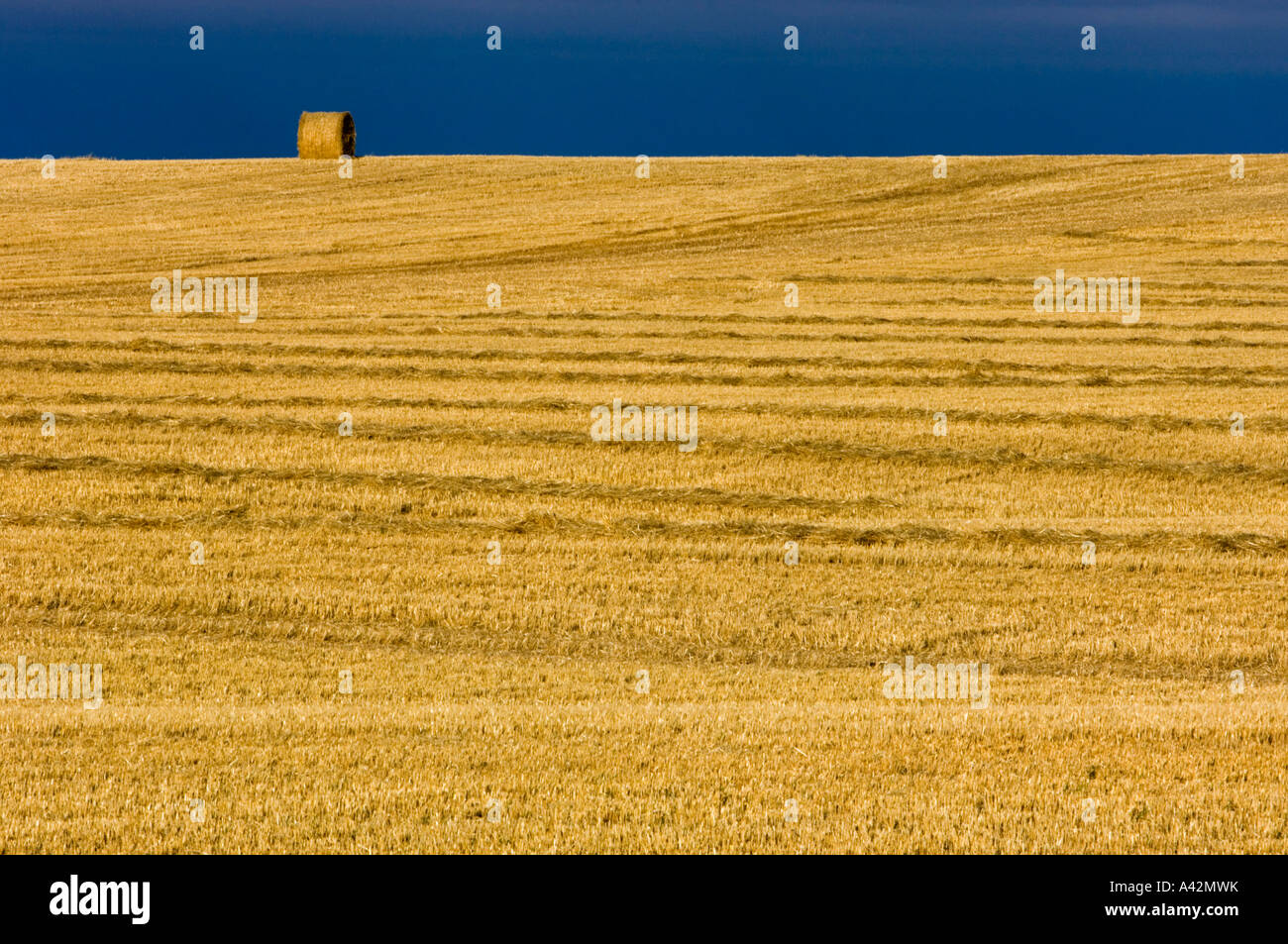 Hay rolls prairie field receding hi-res stock photography and images ...