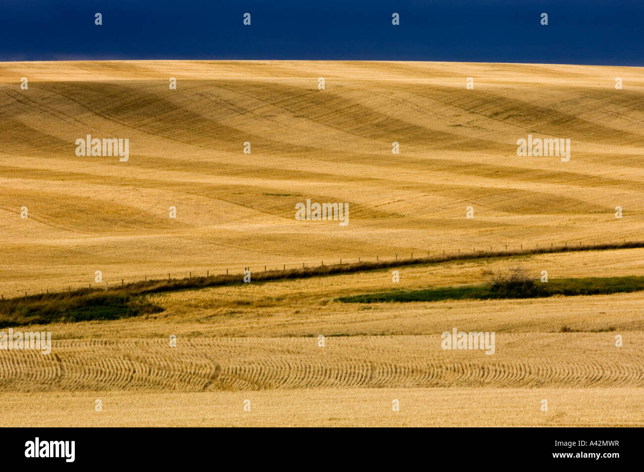 Mowing patterns with receding storm clouds, Stahlville, Alberta, Canada ...