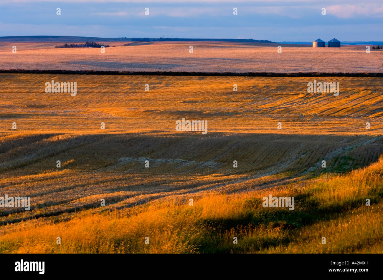 Prairie icons hi-res stock photography and images - Alamy