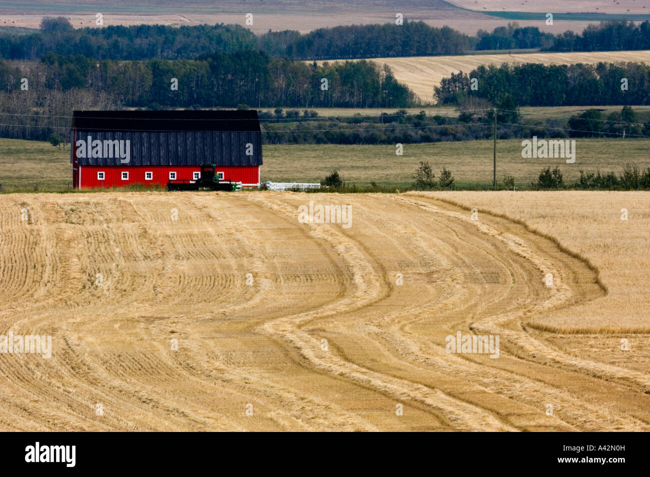Olds alberta hi-res stock photography and images - Alamy