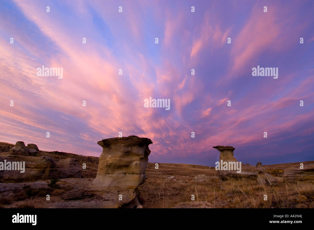 Sunset skies over sandstone hoodoos, Writing on Stone Provincial Park ...