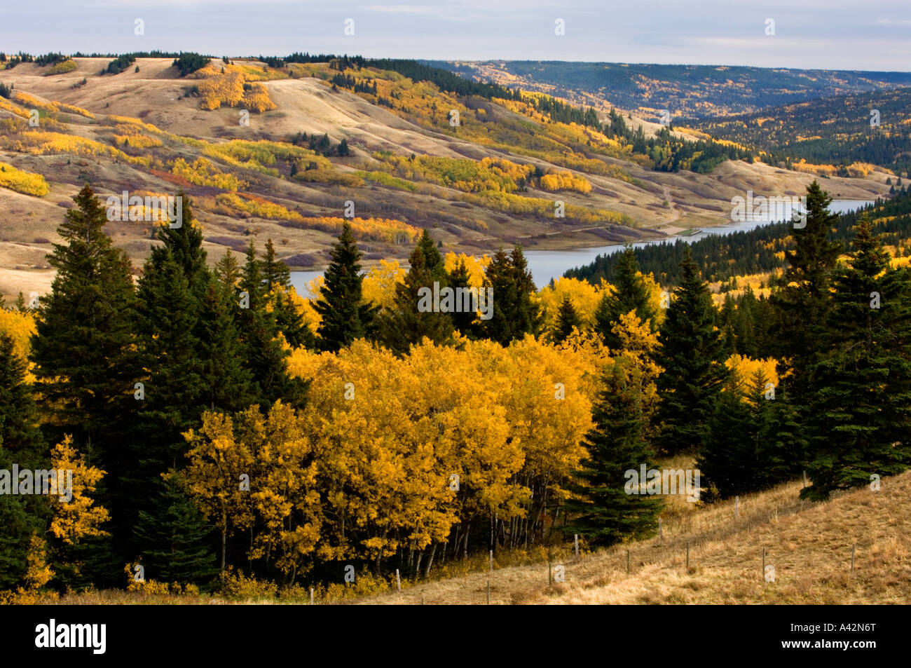 Fall colours and rangeland hi-res stock photography and images - Alamy