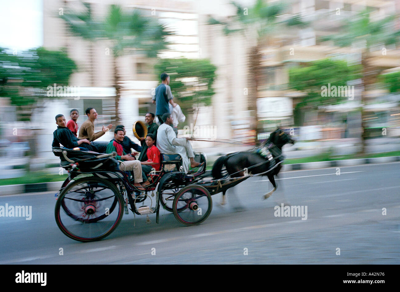 Caleche luxor hi-res stock photography and images - Alamy