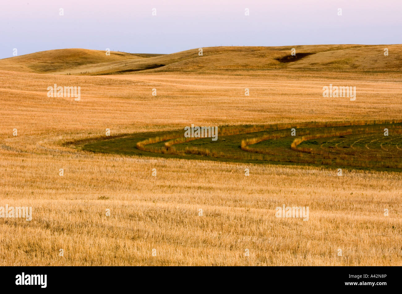 Swift current saskatchewan hi-res stock photography and images - Alamy