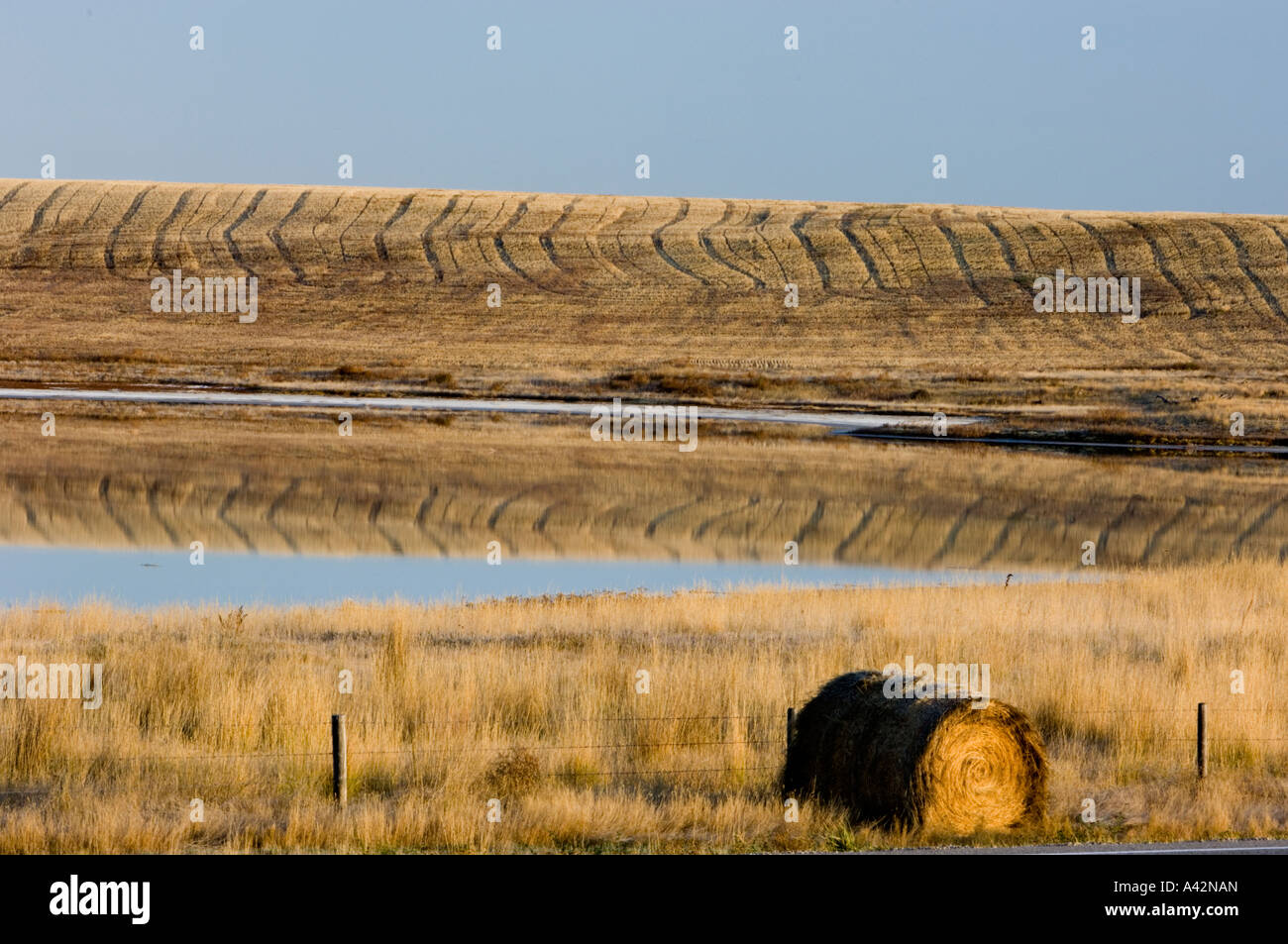 Prairie features at dawn- stubblefields and reflecting pool, Herbert ...