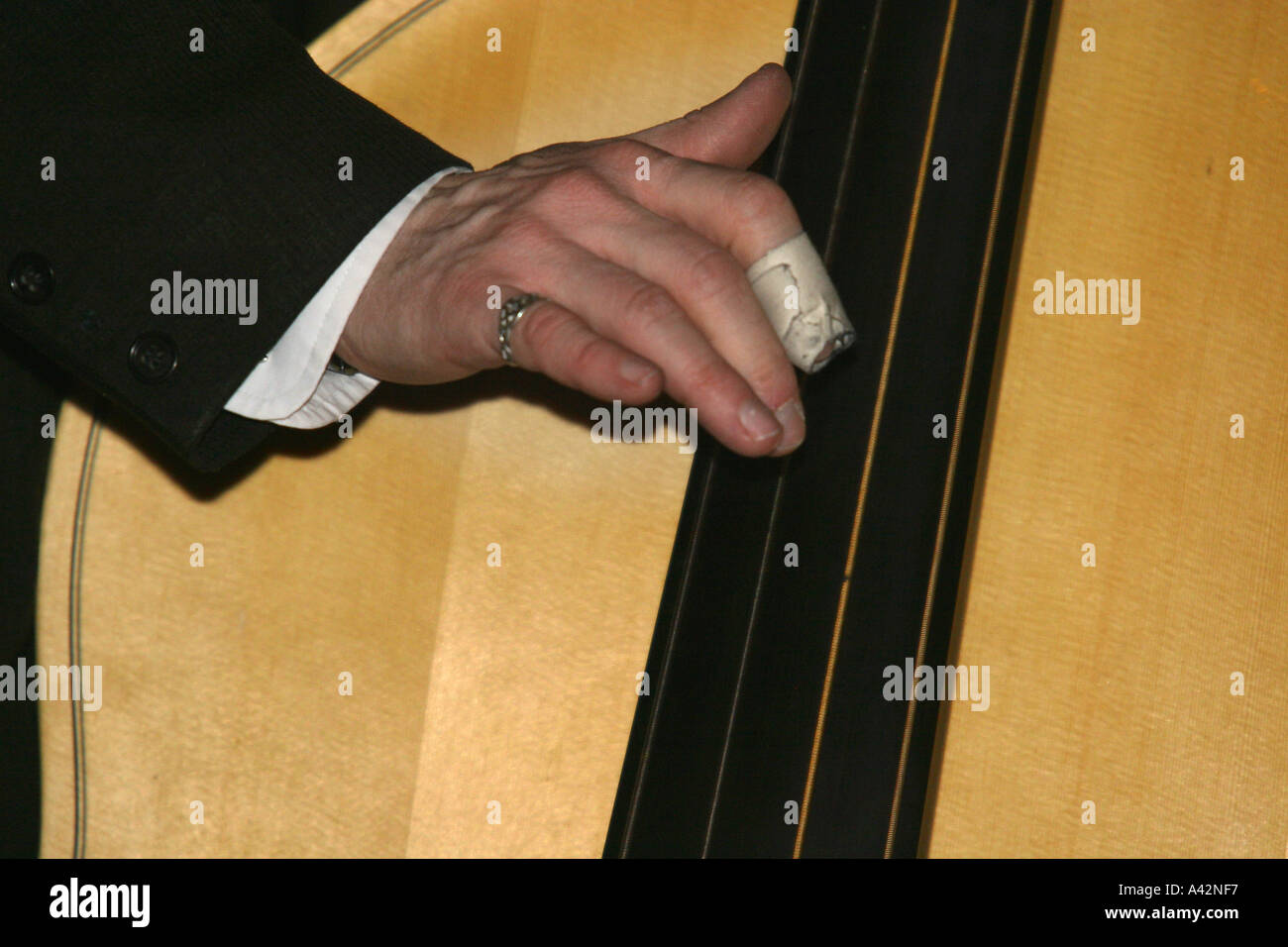 Stringbass High Resolution Stock Photography and Images - Alamy