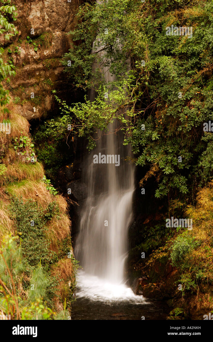 Banjar himachal hi-res stock photography and images - Alamy