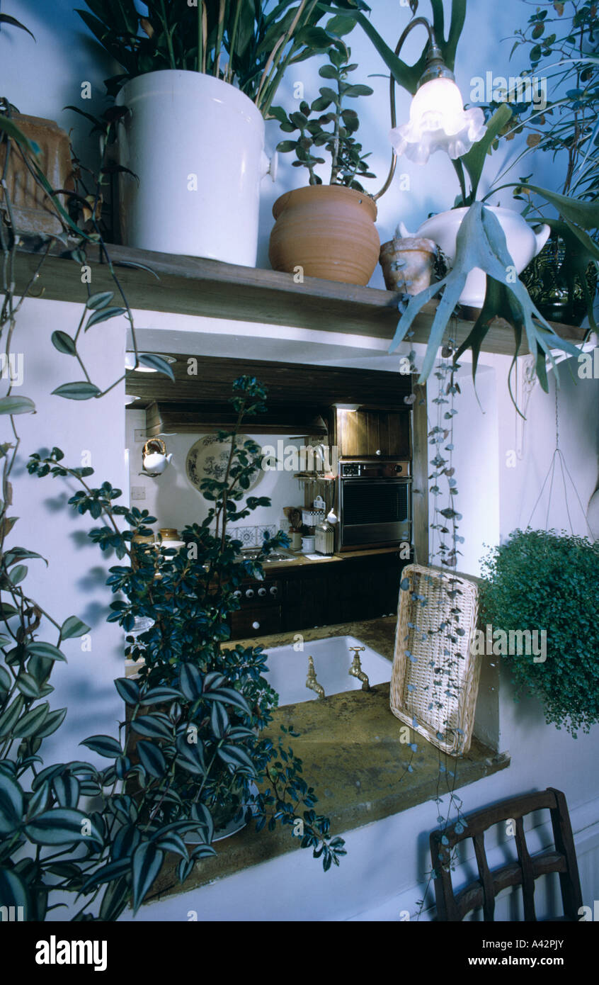 Plants on shelf above hatch in sixties kitchen Stock Photo - Alamy