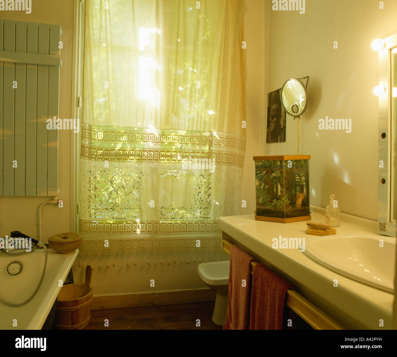 Lace curtain at window in small white bathroom Stock Photo - Alamy