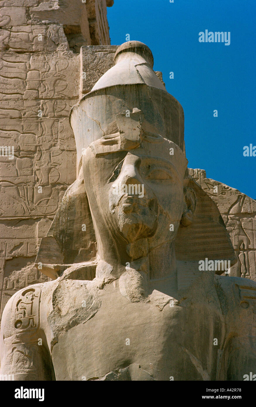Even though damaged this head of a colossal statue of Ramses ll at the ...