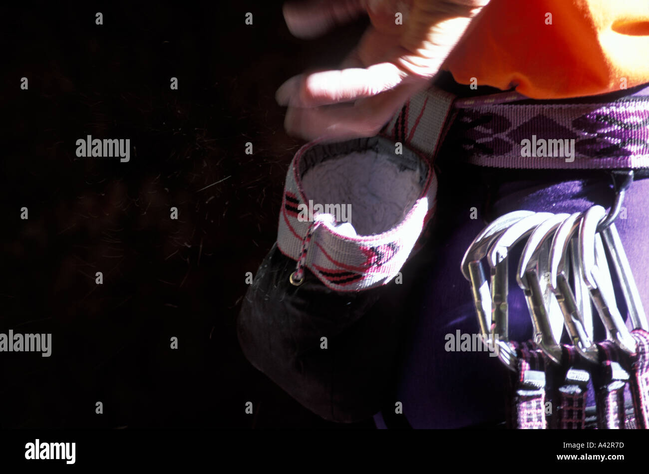 Rock Climbers hand with chalk bag and quick draw Stock Photo - Alamy